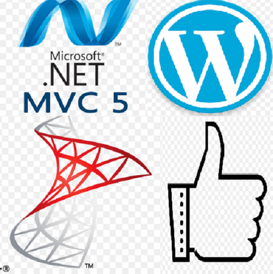 Create Website In Html Css Wordpress Asp Net Mvc By Hoadangcse Fiverr