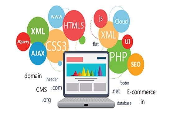 Develop Modify Fix Website In Html Javascript Php Sql Csharp By