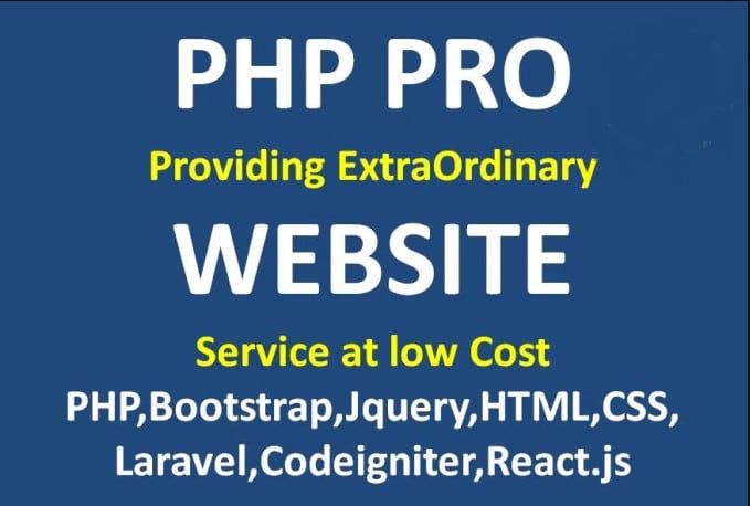 Develop Custom Web App Using Php Laravel Codeigniter By Dani821