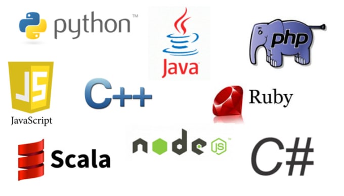 Guide You In Python C Java Html Css Php By Richjoe Fiverr