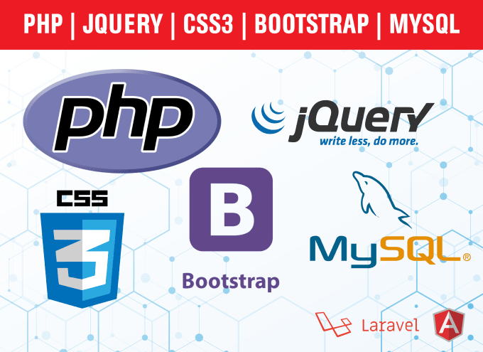 Develop Custom Web Application Using Php Laravel Angular Vue Js By
