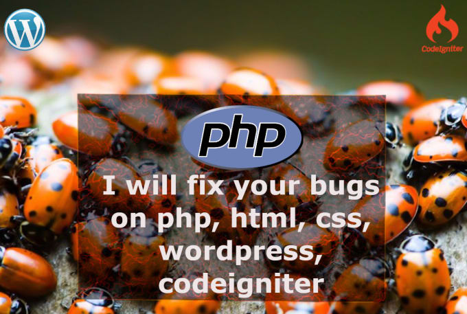 Fix Your Bugs On Php Html Css Wordpress Codeigniter By