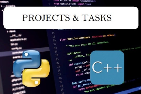 Do Any Python Programming Tasks And Projects For You By Elgarnielmustap