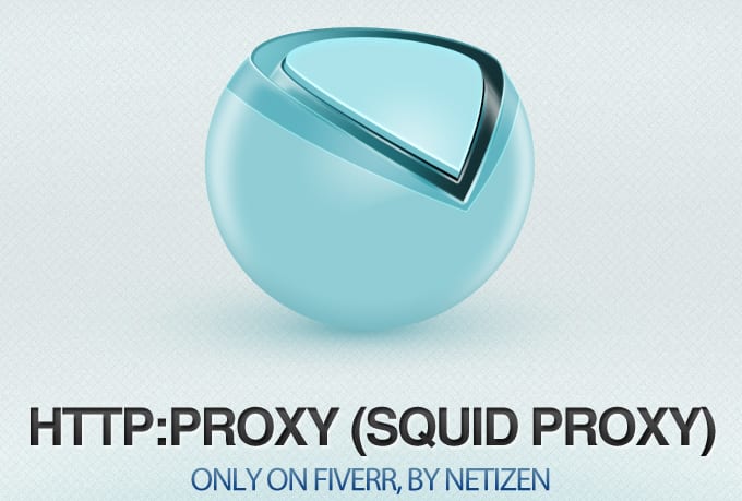 Setup A Port Squid Proxy On Your Linux Vps By Netizen Fiverr