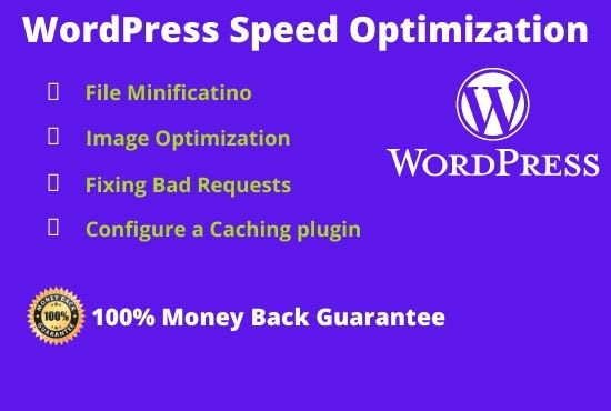 Wordpress Website Speed Optimization Gtmetrix Google Page Image