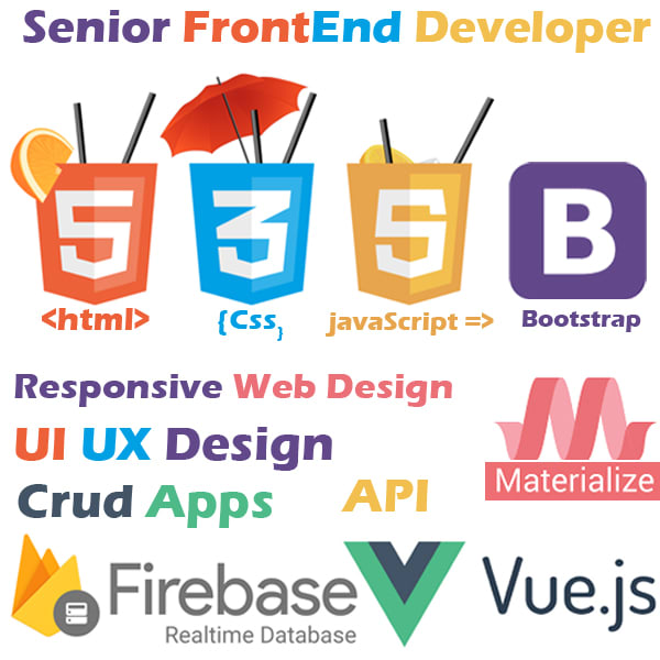 Be Your Front End Web Developer Html Css Javascript Vue Api By Sarmad