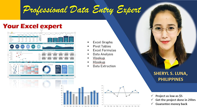 Create Excel Graphs Pivot Tables Dashboards And Macros By Shluna Fiverr