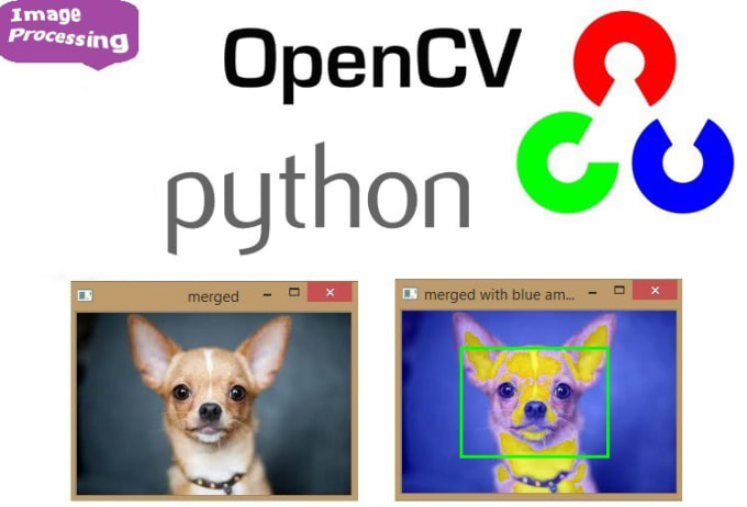 Do Computer Vision And Image Processing Task Using Opencv And Python By