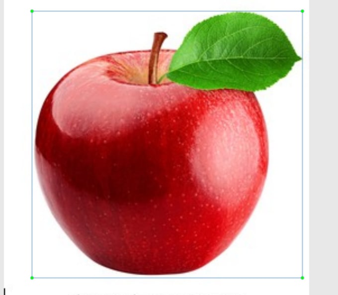Accurately Annotate Images For Your Ai And Ml Model By Anjaleeanuththa