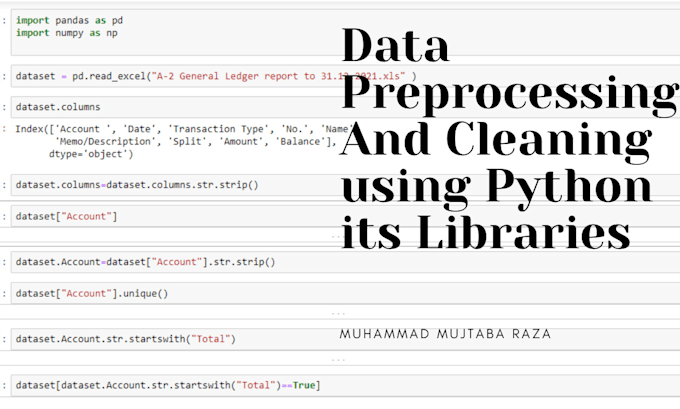 Do Data Preprocessing And Cleaning Using Python By Mujtaba 12390 Fiverr