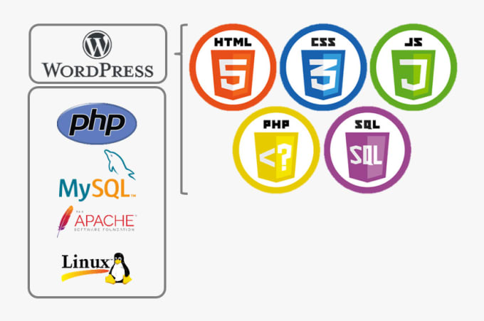 Write Any Script In Html Css Javascript Jquery Php By Bhaveshkes