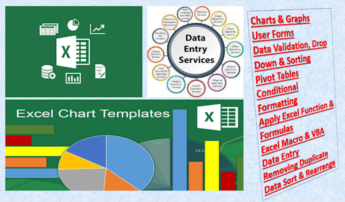 Do Ms Excel Spreadsheet Formula Macro Charts Data Entry By Ariazs