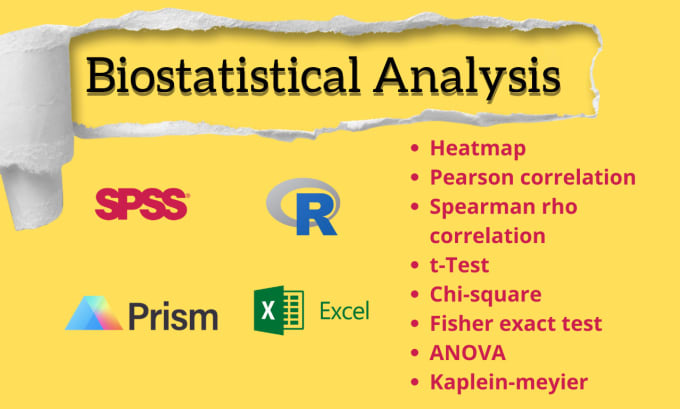 Do Biostatistics Analysis Using Spss Excel And R Studio By Five Theta