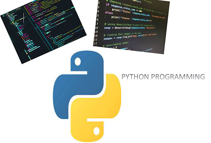 Help You With Programming In Python By Emelbegi Fiverr