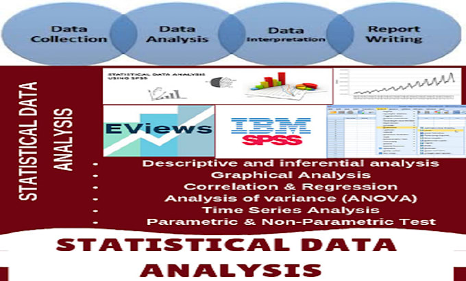 Do Statistical Data Analysis By Using Spss Eviews Minitab Excel And