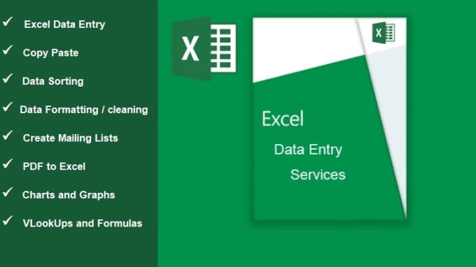 Do Excel Data Entry Vba Copy Paste Data Formatting Cleaning By