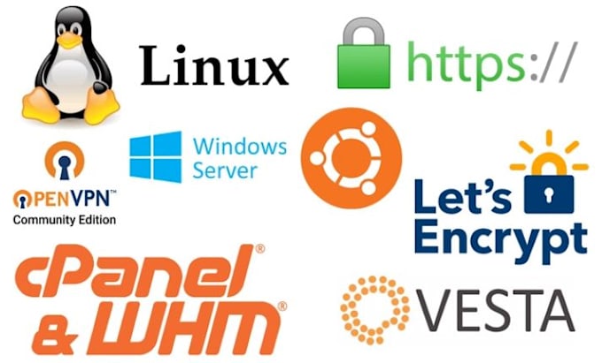 Help With All Of Your Dns And Domain Related Needs By Bhps19 Fiverr