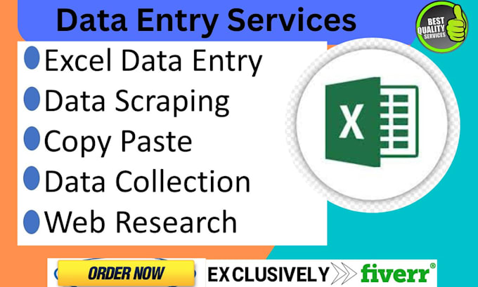 Do Excel Data Entry Web Research Copy Paste Data Scraping By