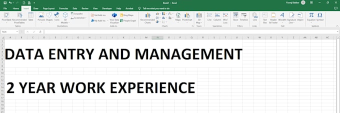 Data Formatting And Management In Excel By Babbaryuvraj1 Fiverr