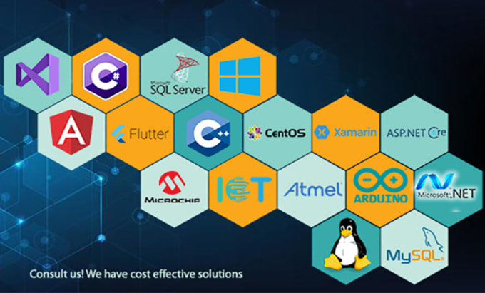 Code And Debug Your C Cpp Csharp Vb Flutter Angular Mssql Task And
