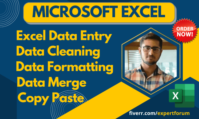 Do Excel Data Entry Excel Data Cleaning Formatting Data Merge And