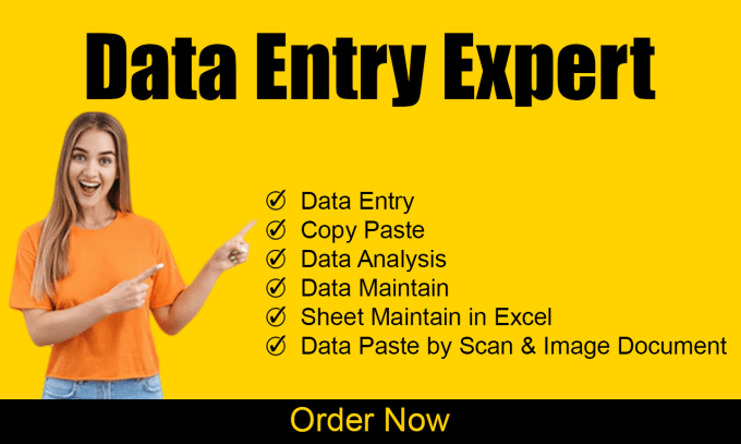 Do Excel Data Entry Excel Formula Excel Dashboard In Just 3hrs By