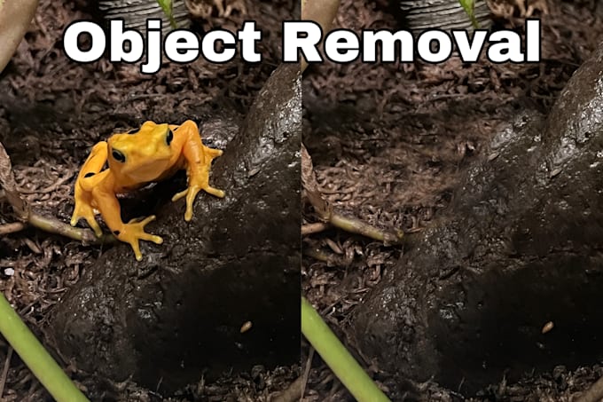 Do Quick Photoshop Editing By Atomicbuchi Fiverr