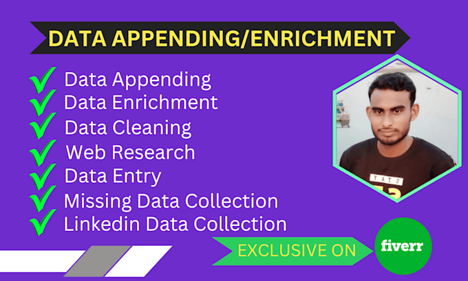 Do Data Appending Data Enrichment And Data Entry By Am Jahidul Fiverr