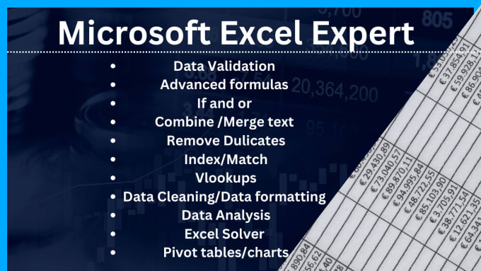 Create Custom Excel Spreadsheet And Template By Mechiomatic Fiverr