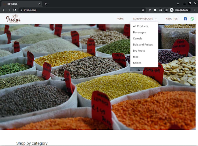Do Frontend Web Development In Html Css And Reactjs Or Vuejs By