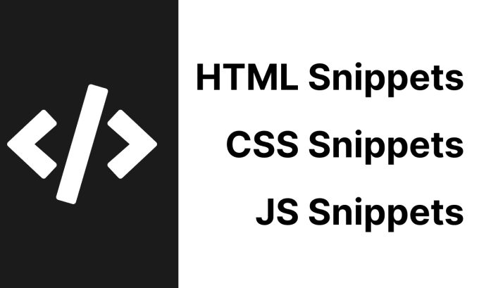 Create Html Css And Javascript Snippets By Joseafuentes Fiverr