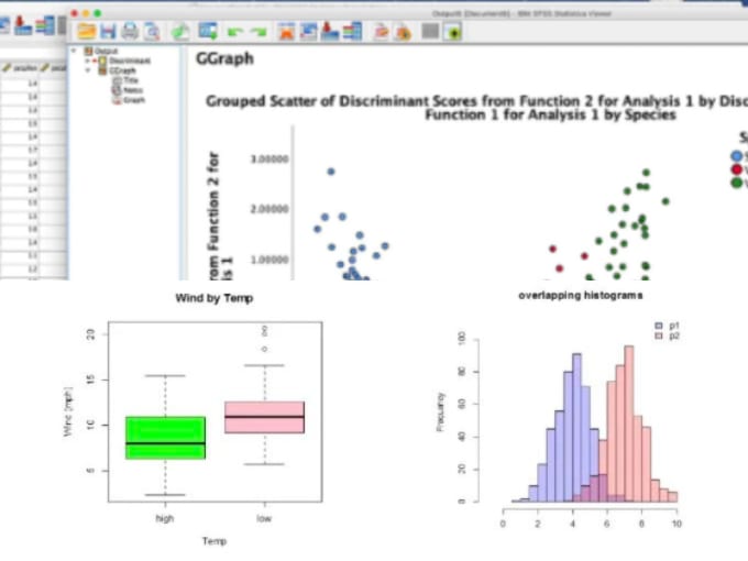 Do Statistical Analysis With Sas Spss R Studio By Juliette Claire