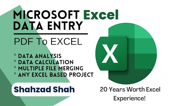 Do Excel Data Entry Expert Data Analytics Excel Calculations By