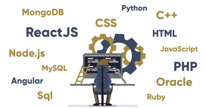 Create Custom Website From Scratch Using Html Css Php Omar By Omar