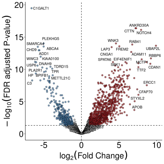 Do Bioinformatic Data Analysis And Visualization In R By Kiokomwikali