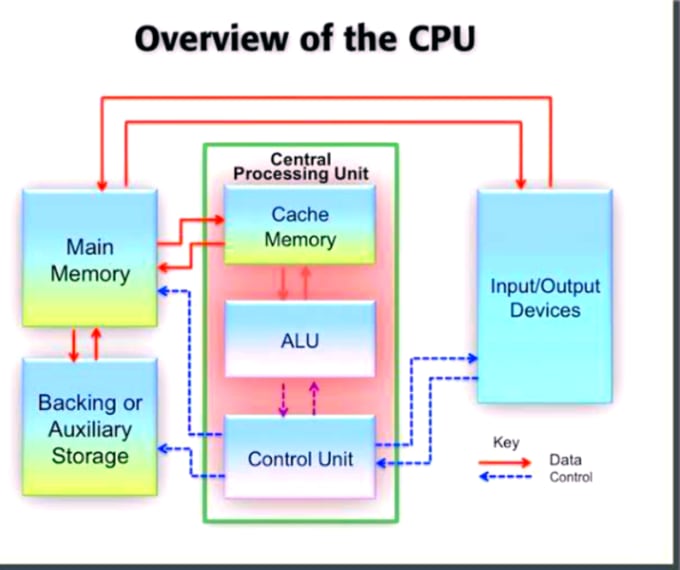 Help Computer Architecture Mips Risc V Assembly Language And