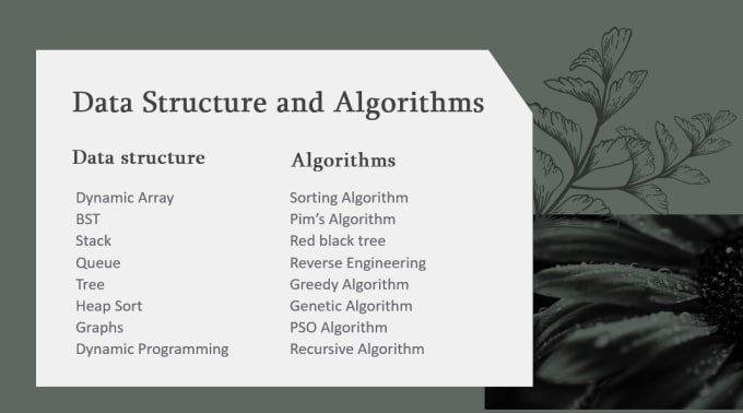 Help You In Data Structure And Algorithms In C Cpp Java And Python By