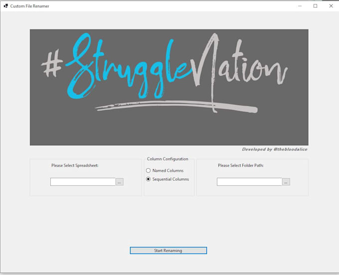 Create A Simple Desktop Program By Bloodalice Fiverr
