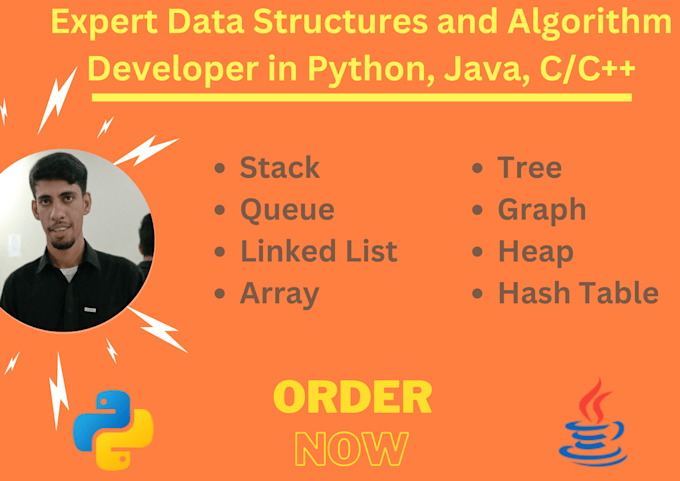 Do Urgent Data Structures And Algorithms Projects By Lunaticgamernot