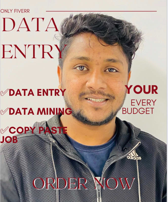Me Do Data Entry Copy Paste Excel Data Entry Data Cleaning Data