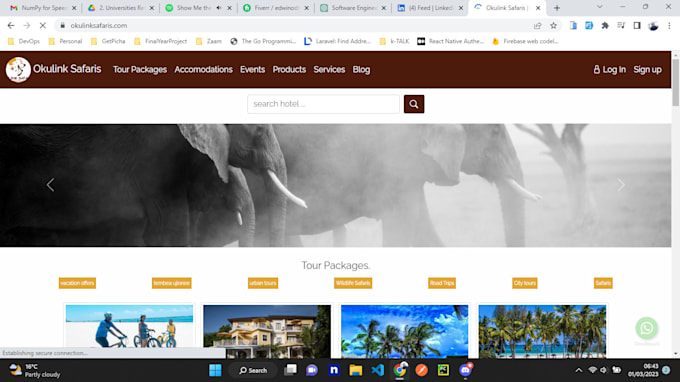 Build A Fully Fledged Ecommerce Website By Edwinodhiamb454 Fiverr