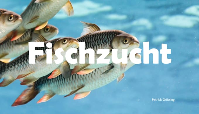 Dir Eine Powerpoint Deiner Wahl Erstellen By Patrick Zero Fiverr