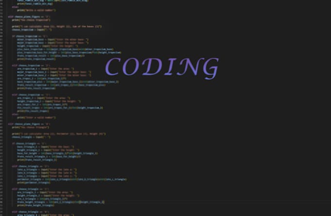 Code You A Program By Francescovisint Fiverr