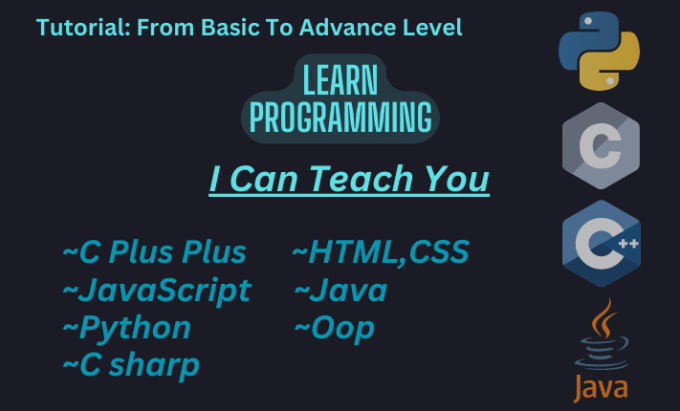 Teach You Python Java C Csharp Coding And Scripting By Areeb Fiverr
