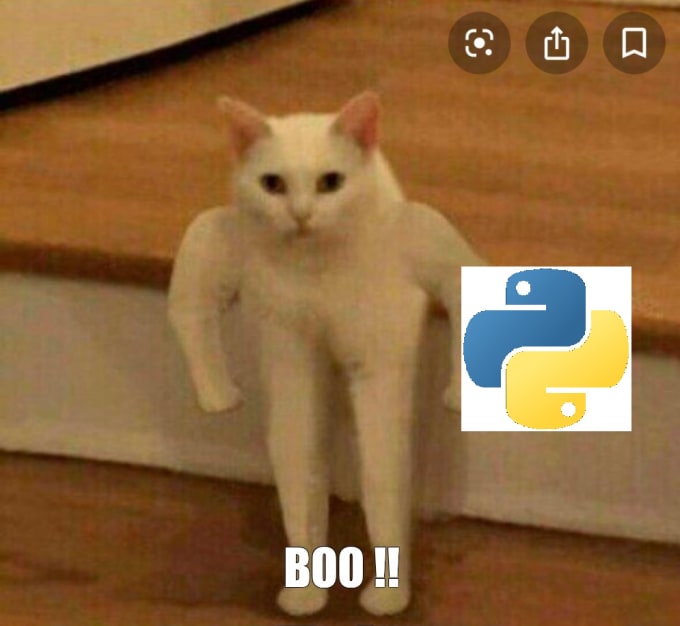 Assist Do Python Pascal Assignments Projects By Komron Fiverr