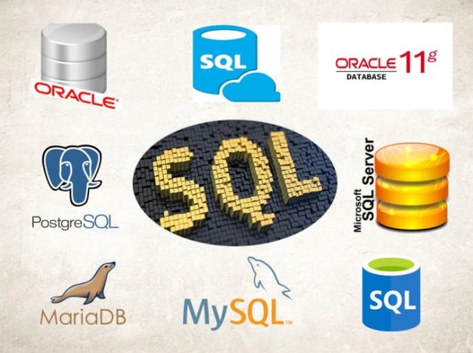 Do Design Database Sql Queries In Oracle Java Python Mysql By
