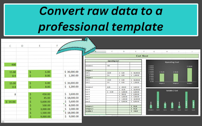 Convert Raw Data To A Professional Template In Excel By Kiranftm Fiverr