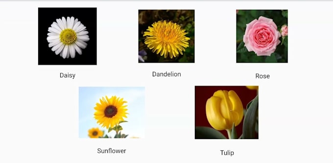 Do Flower Classification Web App Using Python By Upekshalangcode Fiverr