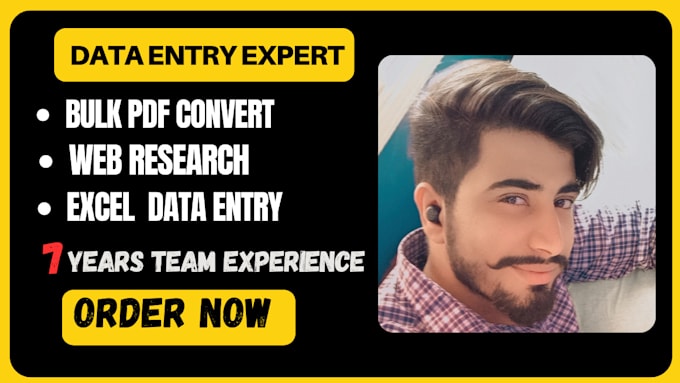 Do Accurate Data Entry Copy Paste Web Scrap Pdf To Excel By