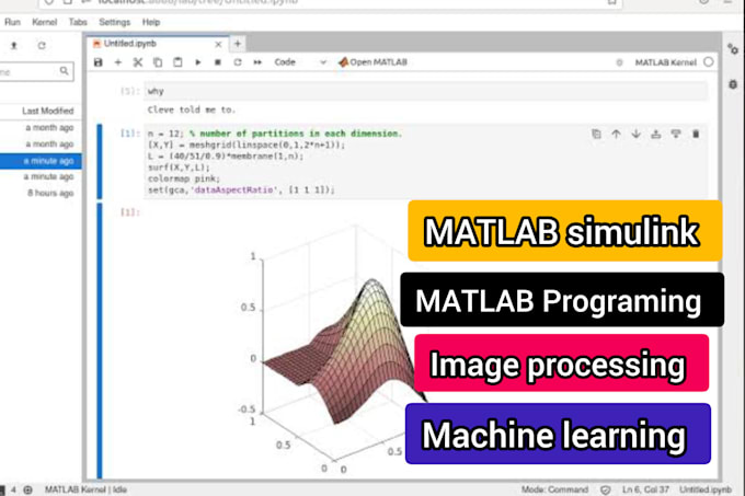Do Matlab Programming Python Simulink Image Processing And Machine